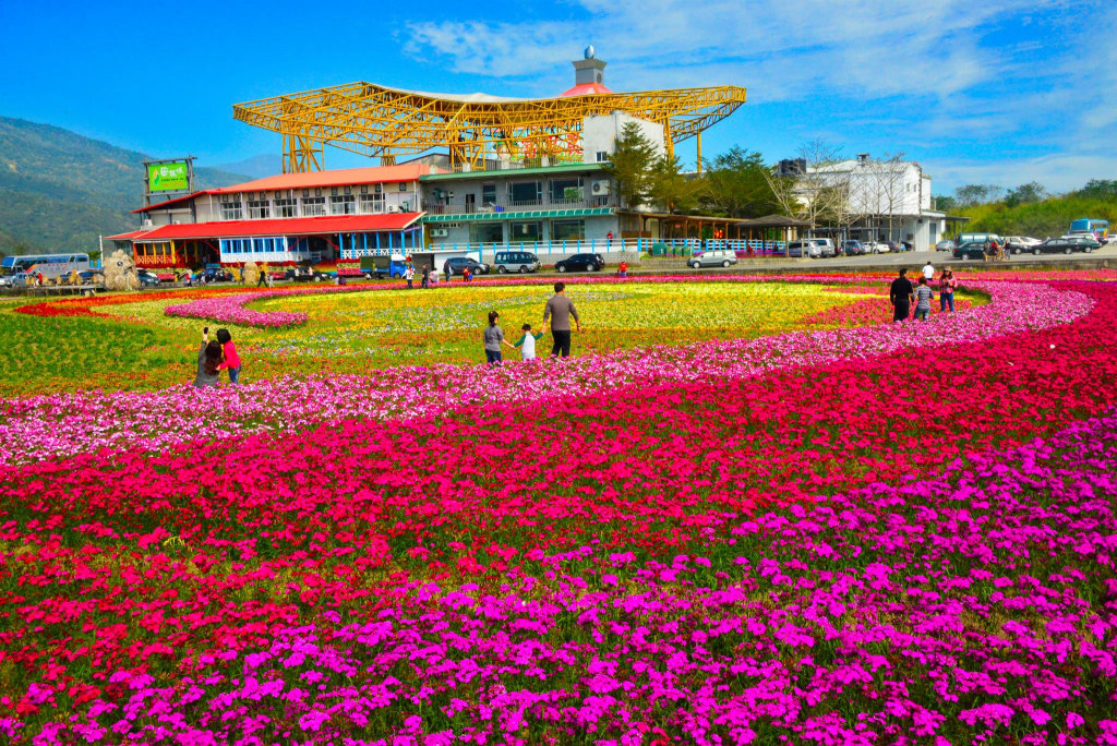 9 Hamparan Bunga di Taiwan yang Wajib Dikunjungi - Taiwan Tourism